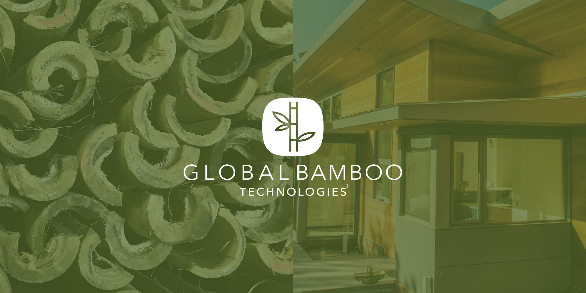 BamCore - Agency Orange